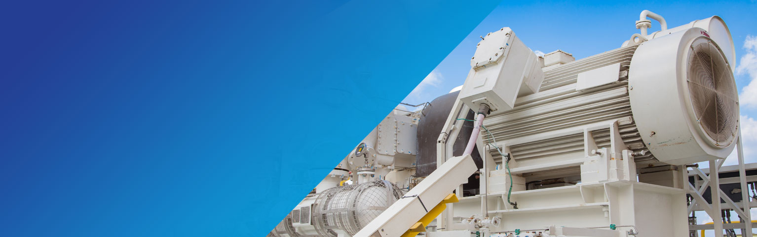 Purge & Pressurization Ex p hazardous area protection